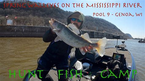 Spring Walleyes On The Mississippi River Pool 9 Youtube