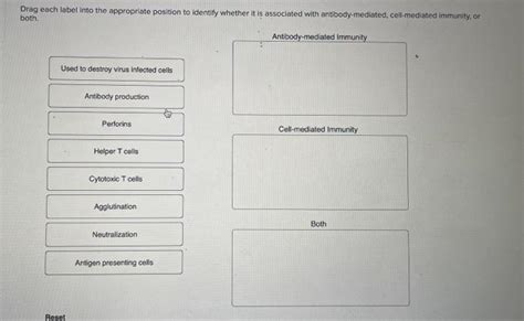 Solved Drag Each Label Into The Appropriate Position To