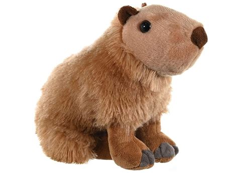 Capybara Plush Guide A Guide To Finding Your Favorite Capybara Plushie Avid Plush