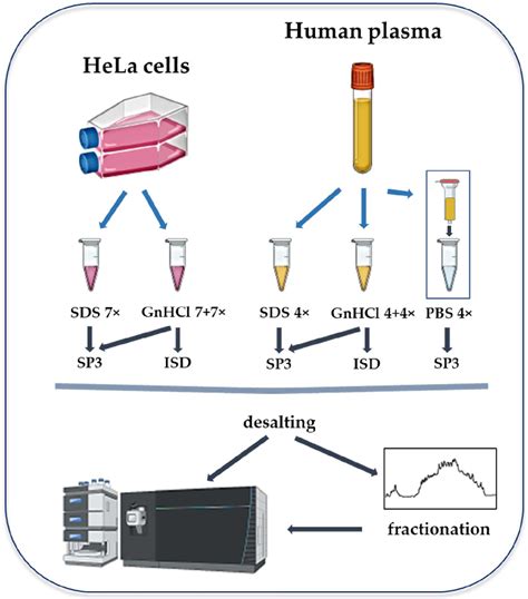 Figure 1 From Comparing Efficiency Of Lysis Buffer Solutions And Sample Preparation Methods For