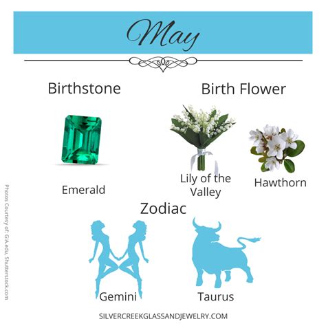 Birthstone Zodiac Signs Flowers 60 Photos