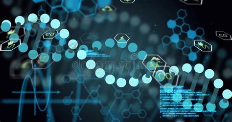 Dna Strand With Hexagonal Icons Scientific Data Processing Animation Stock Footage Video Of