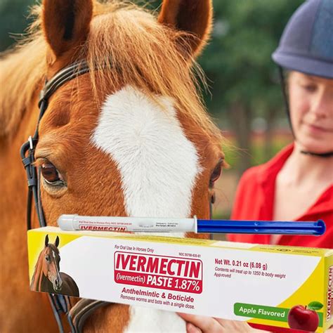 🏆last Day Sale Buy 1 Get 1 Free🐎ivermectin Horse Paste 187 608g T