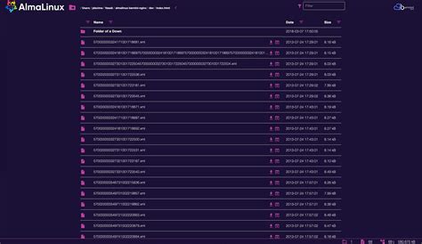 Custom Configurations In Nginx For Almalinux Mirror Support Almalinux