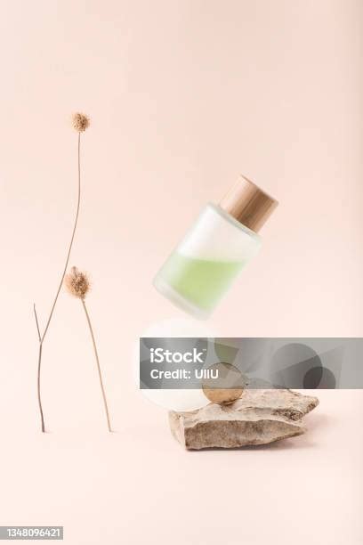 허브 그린 에센스 또는 오일 천연 비대칭 석재 및 기하학적 요소의 건조한 허브와 자연스러운 균형 조성 평형 제로 폐기물 지구 색조 베이지 색 배경 메이크업 화장품에 대한