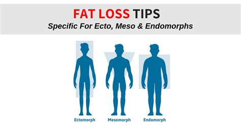 Ecto Endomorph Diet Adultvirt