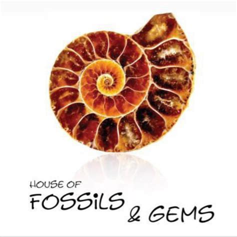 House Of Fossils And Gems Amman