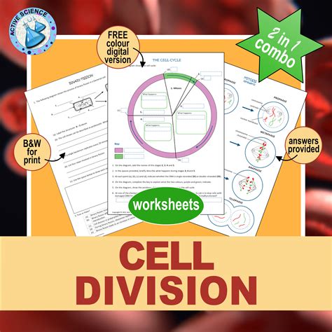 Solved Worksheet Answer The Questions On This Worksheet