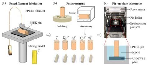 西安交大李涤尘教授团队｜3d打印方向对聚醚醚酮人工关节材料的生物摩擦学性能影响 3d科学谷