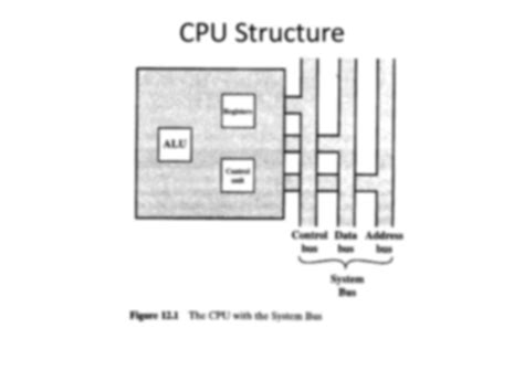 SOLUTION CPU Structure And Function Studypool