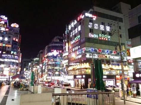 우리나라 인구 100만 도시 중 광역시 인프라를 갖춘 도시는 인스티즈instiz 이슈 카테고리