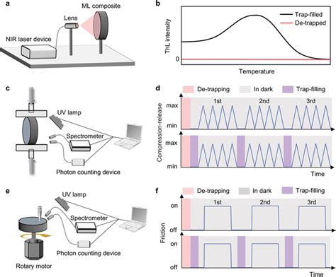 Schematic Diagrams Illustrating The Characterization Of ML Properties Download Scientific
