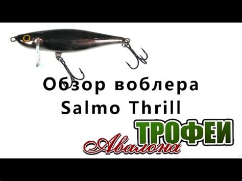 Обзор воблера Salmo Thrill - магазин "Трофеи Авалона" - YouTube