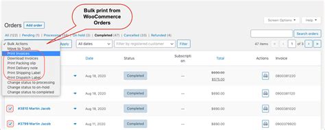 MS Internal Web Directory Float Menu Plugin