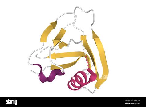Crystal Structure Of Cd5 Diii With The Differently Colored Secondary Structure Elements 3d