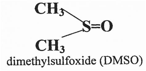 Dmso Molecular Biology Grade Solvents Bioworld