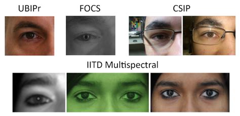 Impact Of Partial Occlusion On Face Recognition — Antispoofing Wiki