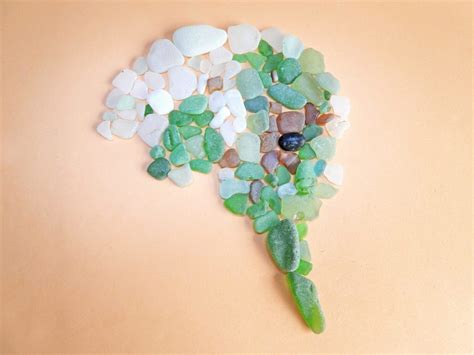 Rethinking Gender Sex And The Brain A Feminist View Neurology Advisor