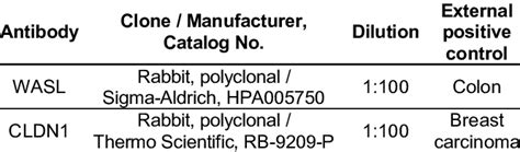 The Antibodies And Immunostaining Protocol Download Scientific Diagram