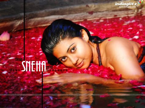 Actress Gallery Sneha Sexy
