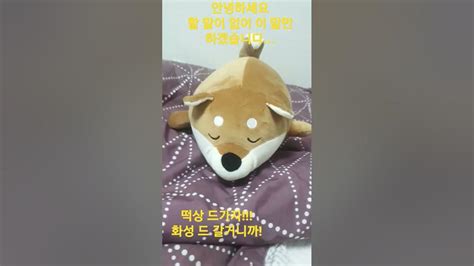 알고리즘 떡상 드가자 Youtube