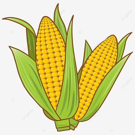 Elotes Animados
