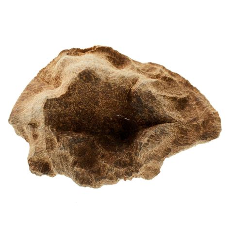 Lot 1 Borma 18.9gr – Feel-Oud
