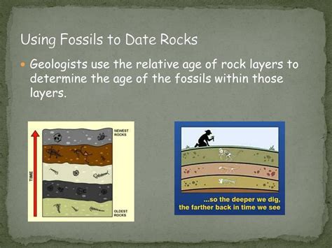 PPT Chapter 9 1 FOSSILS PowerPoint Presentation Free Download ID 2369099