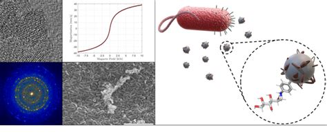 Kth Superparamagnetic Nanoparticles Giovanni Marco Saladino