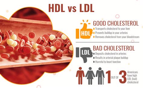 Cholesterol Supplements With Plant Sterols Niacin Red Yeast Rice Citrus Bergamot