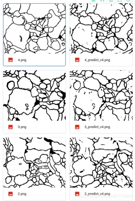 Unet实现细胞分割unet 细胞 Csdn博客