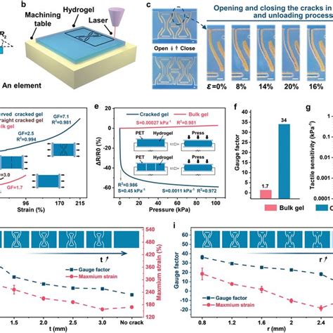 Multifunctional Hydrogel Sensor With Curved Macro Cracks A Strategy For High Sensitivity And