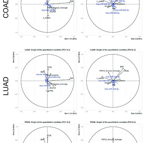 Relationships Of Mirna Subsets For Each Cancer Type In Males Coad Download Scientific Diagram
