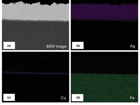 Elemental Map Obtained By Scanning Electron Microscopy Showing The Download Scientific Diagram