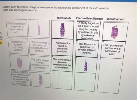solved classify each description image or example as the