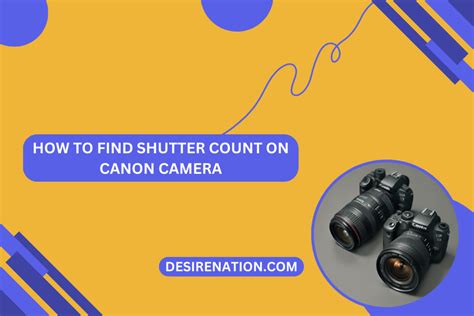 Does Shutter Count Matter On A Mirrorless Camera At Sherrie Harris Blog