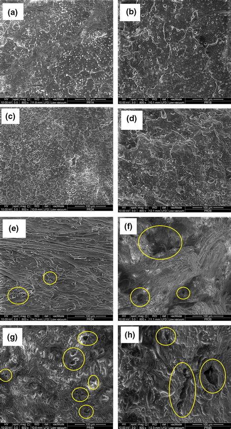 Biocomposites Scanning Electron Micrographs Tensile Fracture Surface Download Scientific