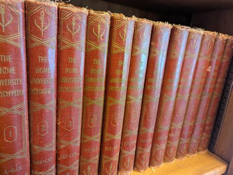 the algorithms kinda suck — could poets help — lion s way content