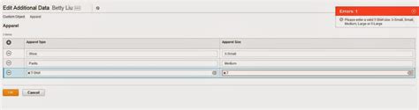 a blog about learning workday hcm workday custom objects in action