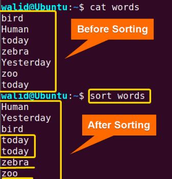 The Sort Command In Linux Practical Examples