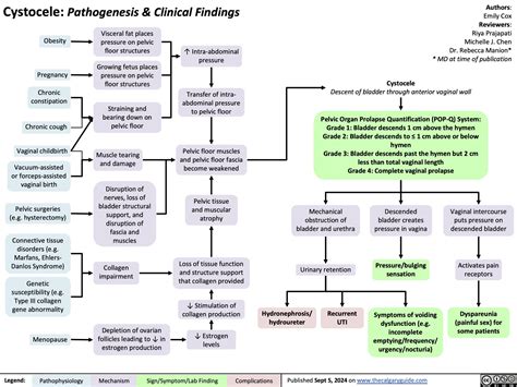Cystocele Calgary Guide