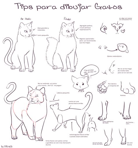 Best How To Draw A Realistic Cat Draw Real Cat Step By Step Drawing Guide By Dawn Artofit