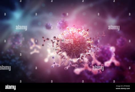 Virus Protection Antibodies And Viral Infection Immune Defense Of The