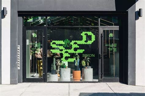식물로 가득 찬 브루클린의 하이브리드 컨셉숍 Seed Brklyn 2025 병 디자인 인테리어 디자인