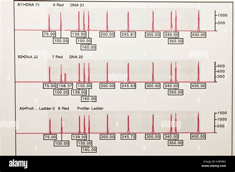 Dna Analysis Of Forensic Samples Using A Capillary Electrophoresis