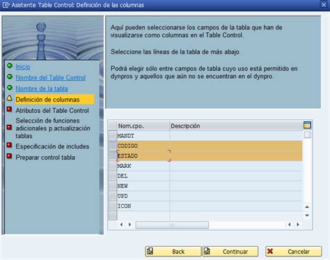 Edit Control Tabla 04 Abap Fácil Para Mi