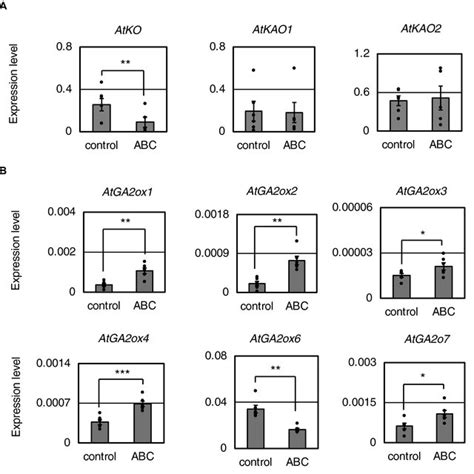Effect Of Abc 1 Upon Transcriptional Levels Of Genes Encoding Ga