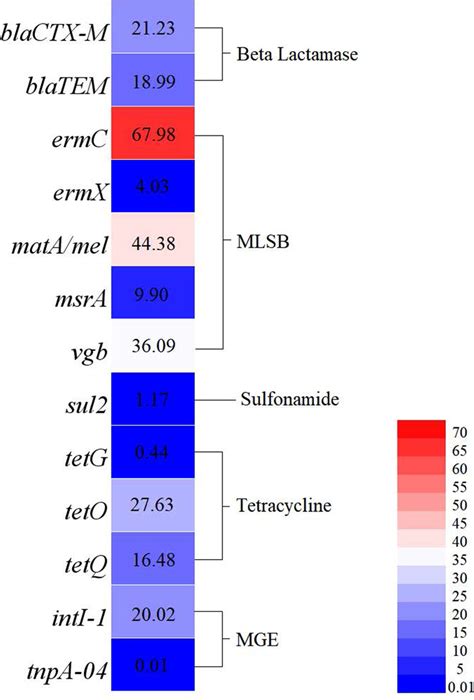 Bioaccumulation Factors Of Args Or Mges In Apple Pericarp Surface Based