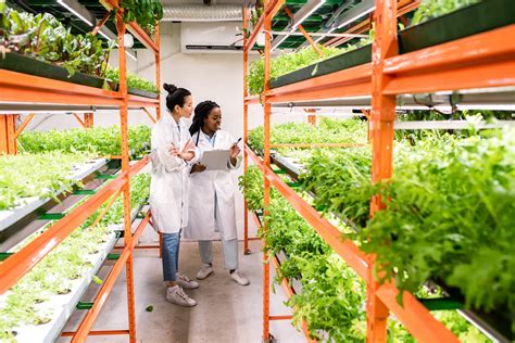 Hplc Application Professional Hplc Column Hardware Consumables Supplier