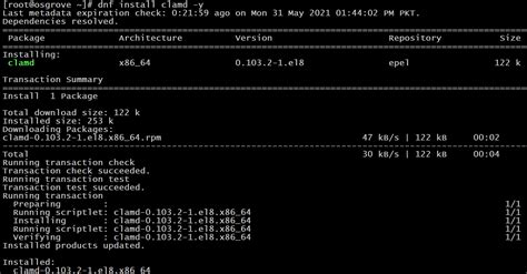 Install And Configure ClamAV In Linux Osgrove
